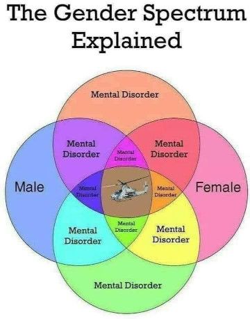 The Gender Spectrum