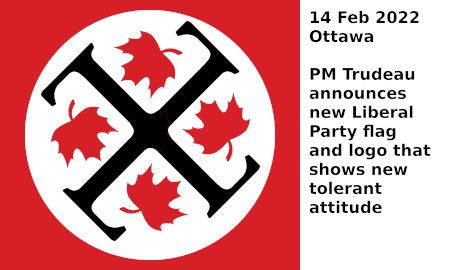 New Liberal Party Flag